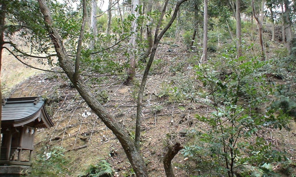 Unit net and soil nailing for mountain slope | 株式会社 大翔