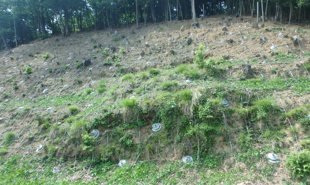 Unit-net-slope-stabilization | 株式会社 大翔